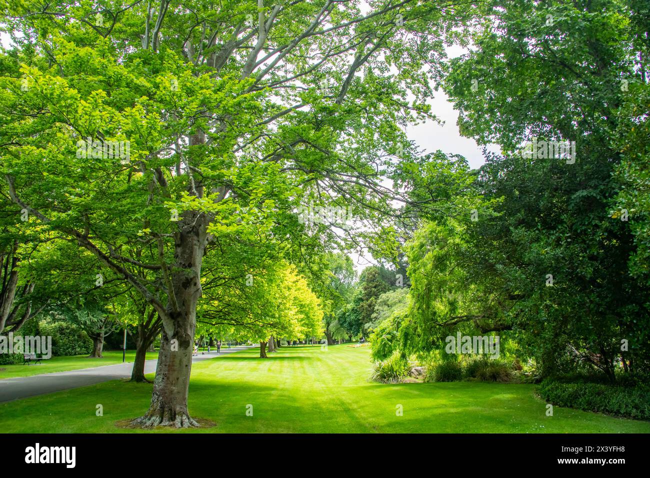 the view of of queens park, a park in Invercargill, New Zealand, and ...