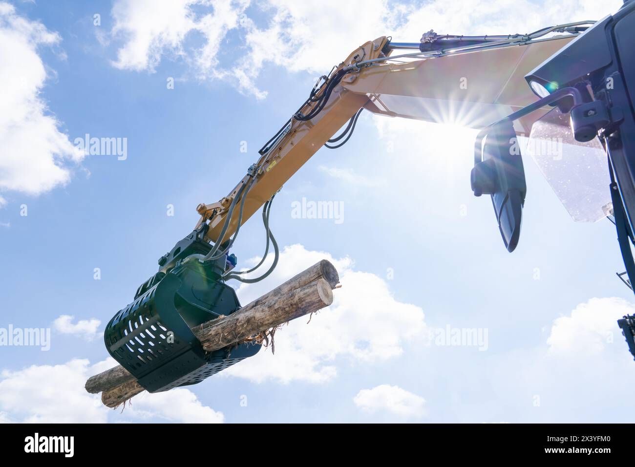 Loading of timber. Loader close up Stock Photo - Alamy
