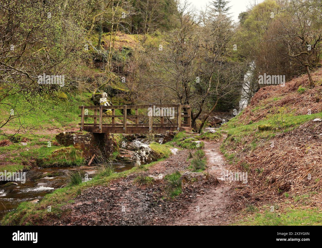 Abercynafon waterfalls in the Brecon Beacons, Wales with wooden ...