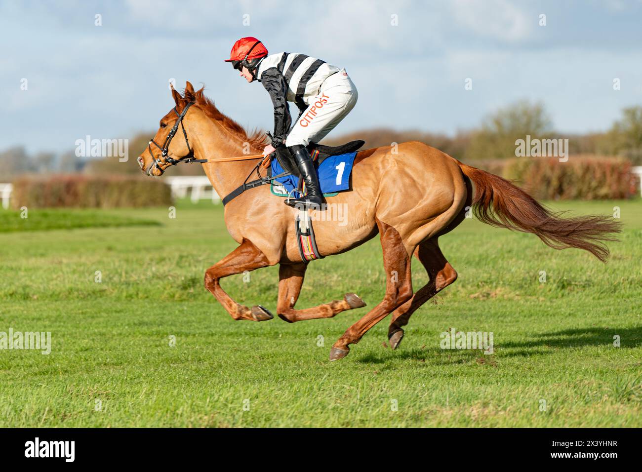 Third race at Wincanton, Handicap Chase, Thursday 20th January 2022 ...