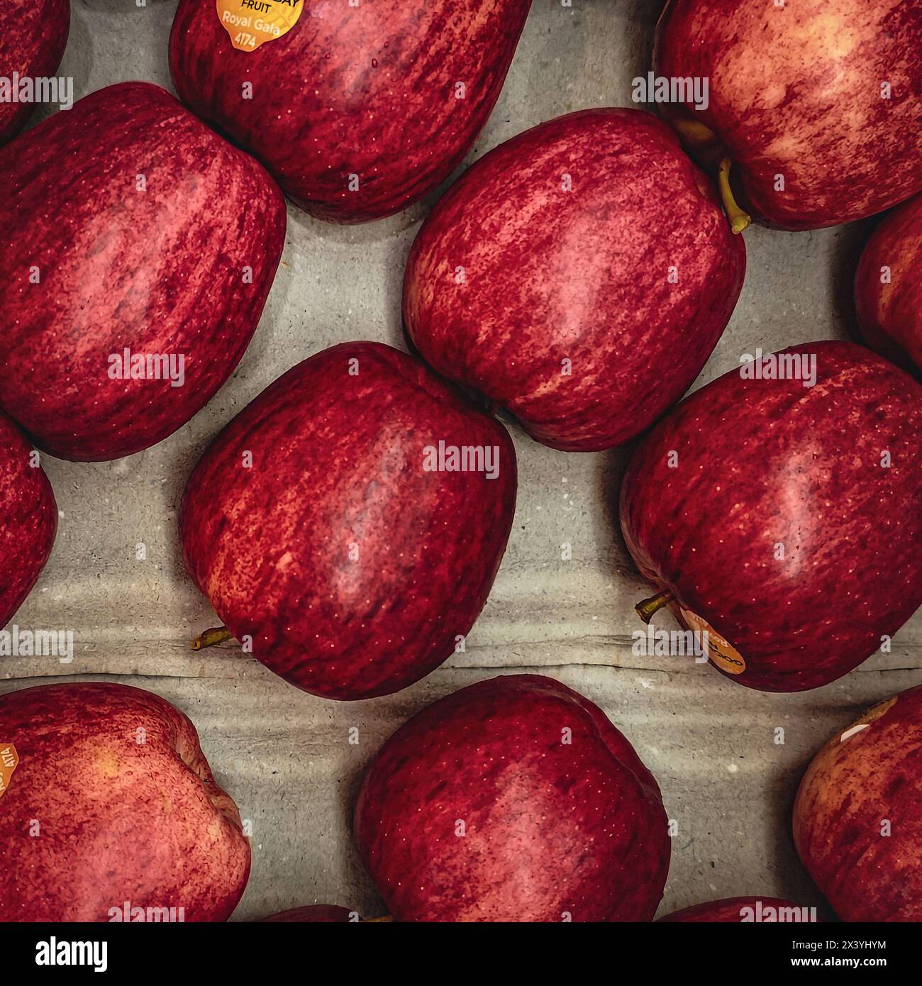 Royal Gala Apples Packing Job Stock Photo - Alamy