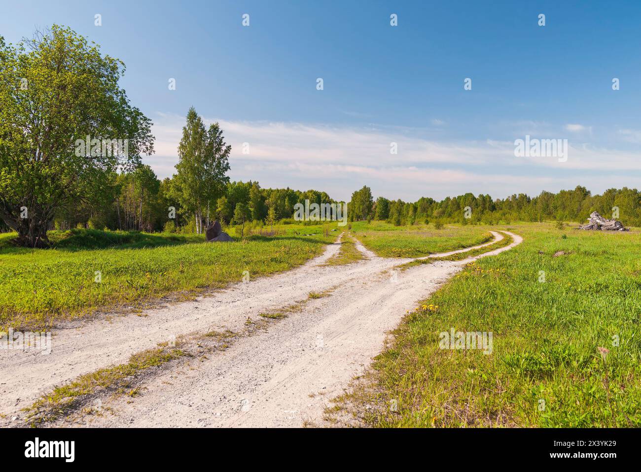 A dirt field road crosses a green pasture surrounded by forest. A large ...