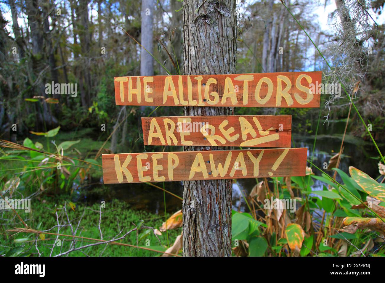 Everglades alligator sign hi-res stock photography and images - Alamy
