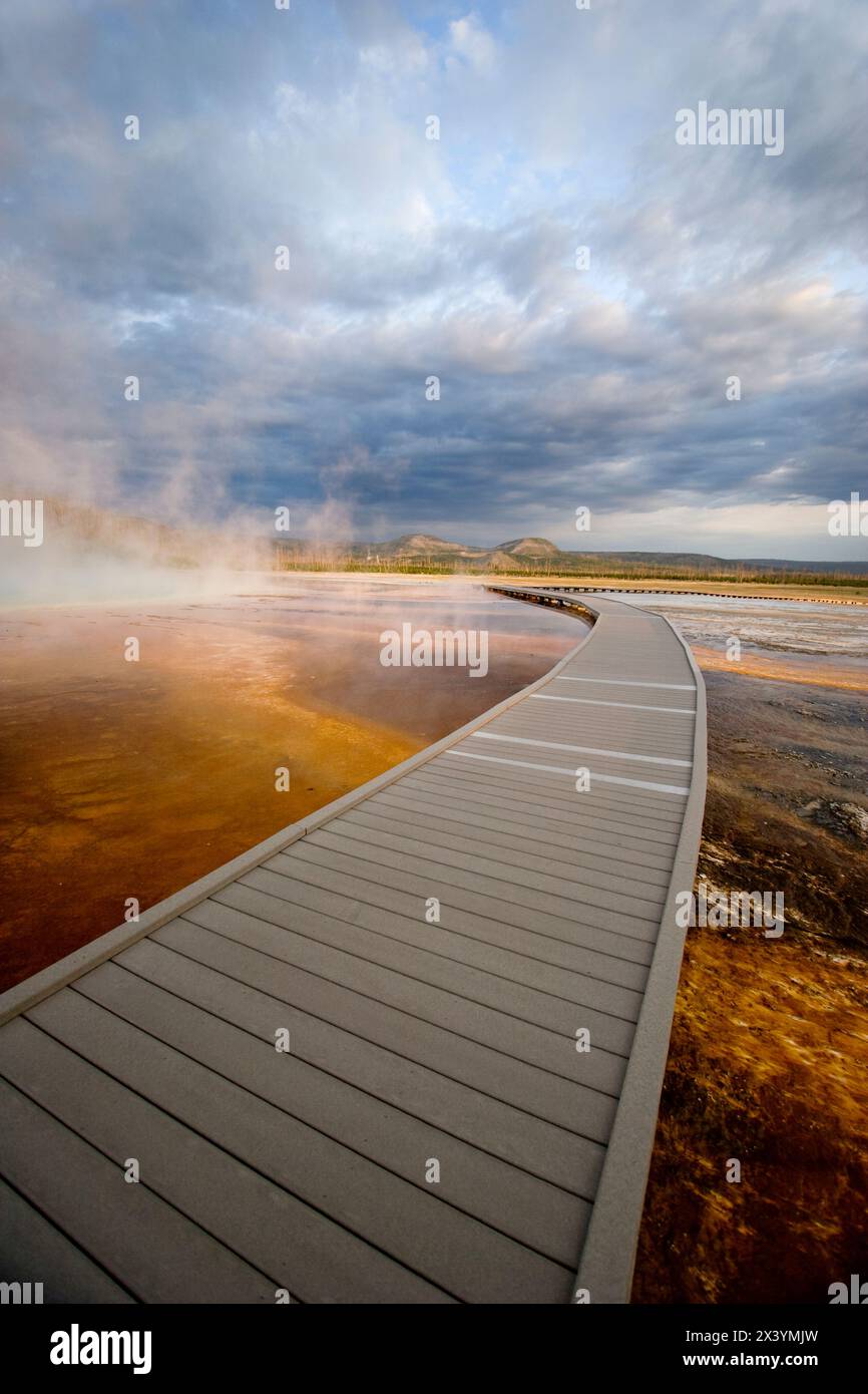 Algae beds hi-res stock photography and images - Alamy