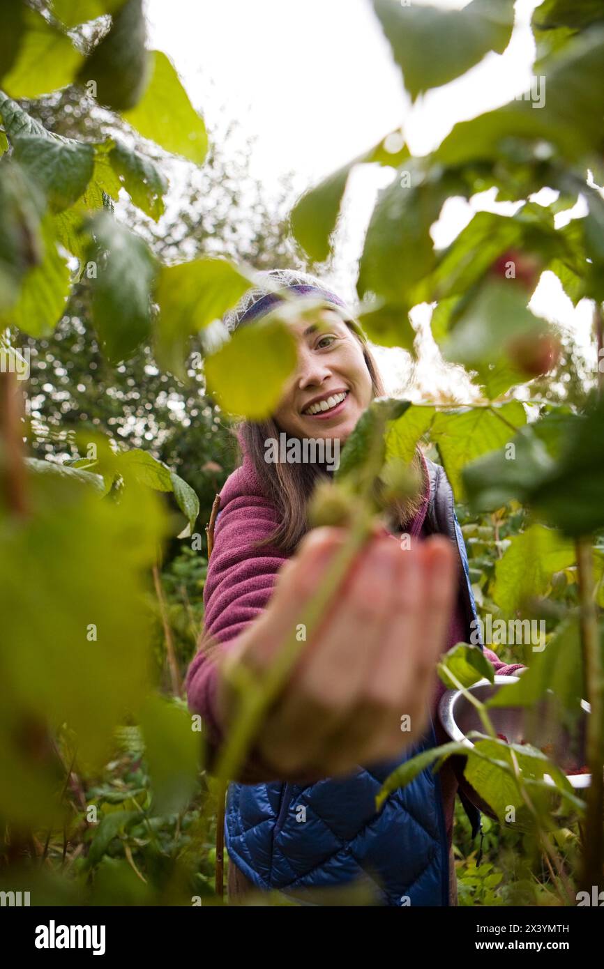 An adult woman smiles as she reaches out to pluck a raspberry in Homer ...