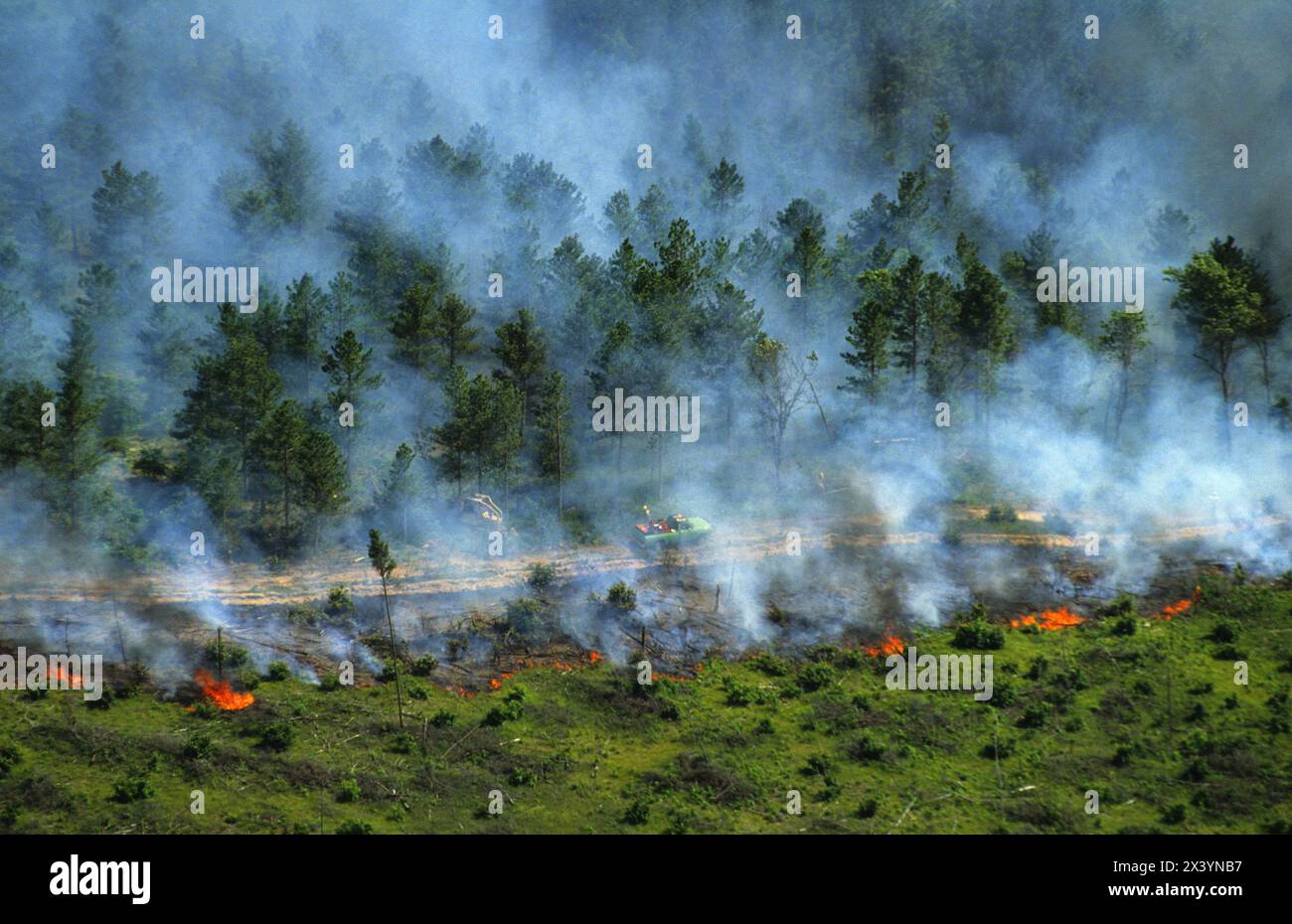 Controlled forest burn in northern Michigan Stock Photo - Alamy