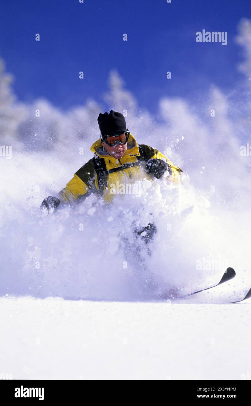 Male skiing powder Alta, Utah Stock Photo - Alamy