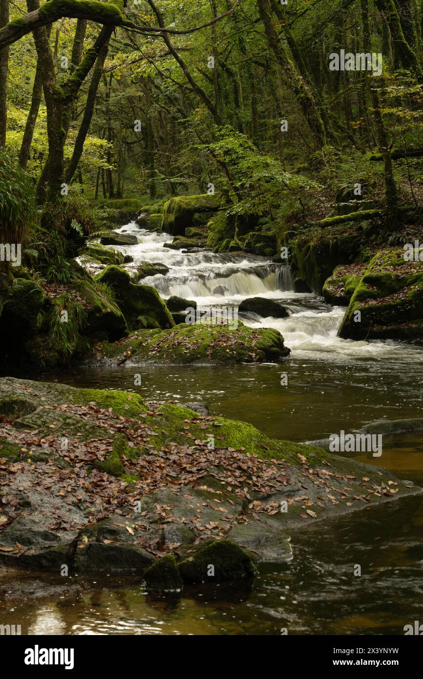 Goliath Falls, Bodmin, Cornwall, UK Stock Photo - Alamy