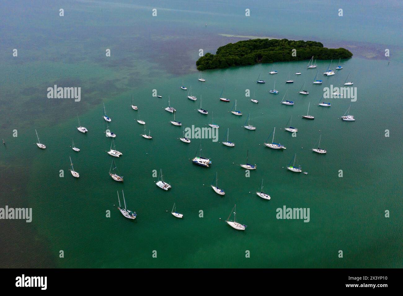 Bay harbor island florida hi-res stock photography and images - Alamy