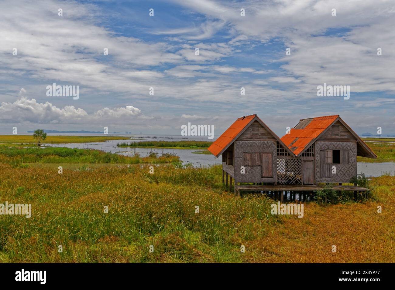 Thale Noi Wetland Lake, Phatthalung, Thailand Stock Photo - Alamy