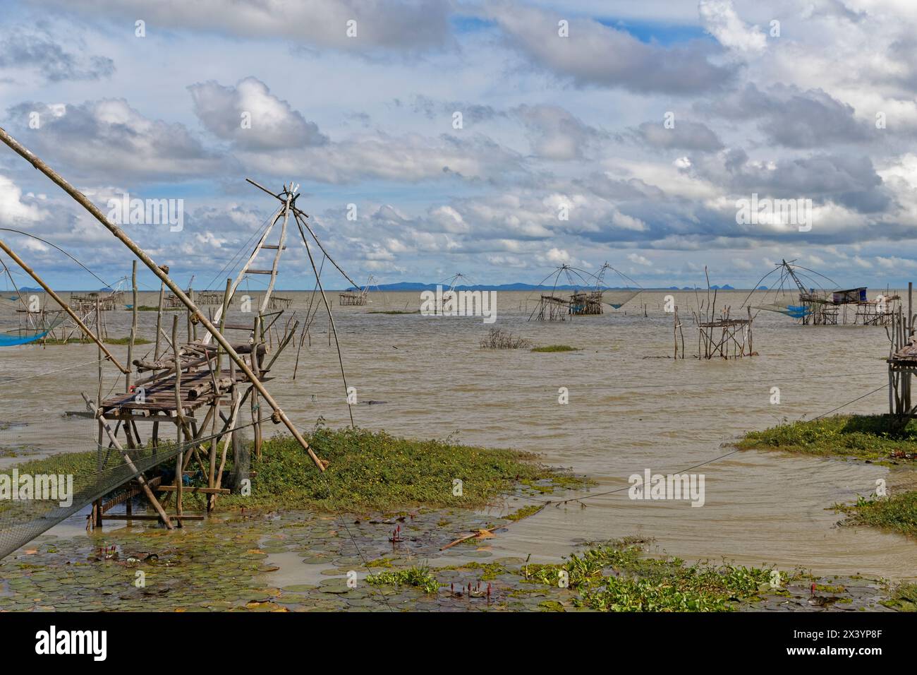 Thale Noi Wetland Lake, Phatthalung, Thailand Stock Photo - Alamy