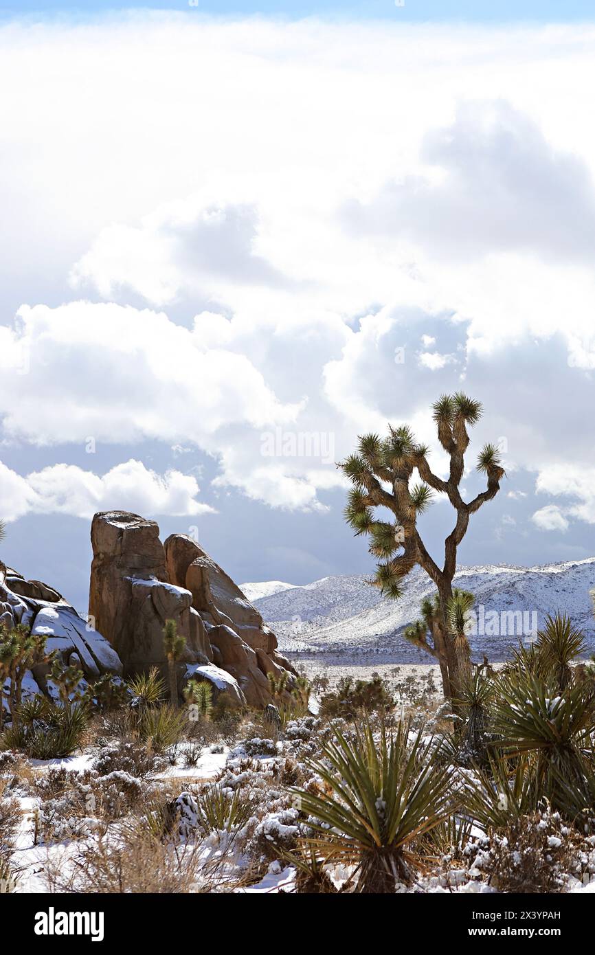 Snowy desert landscape hi-res stock photography and images - Alamy