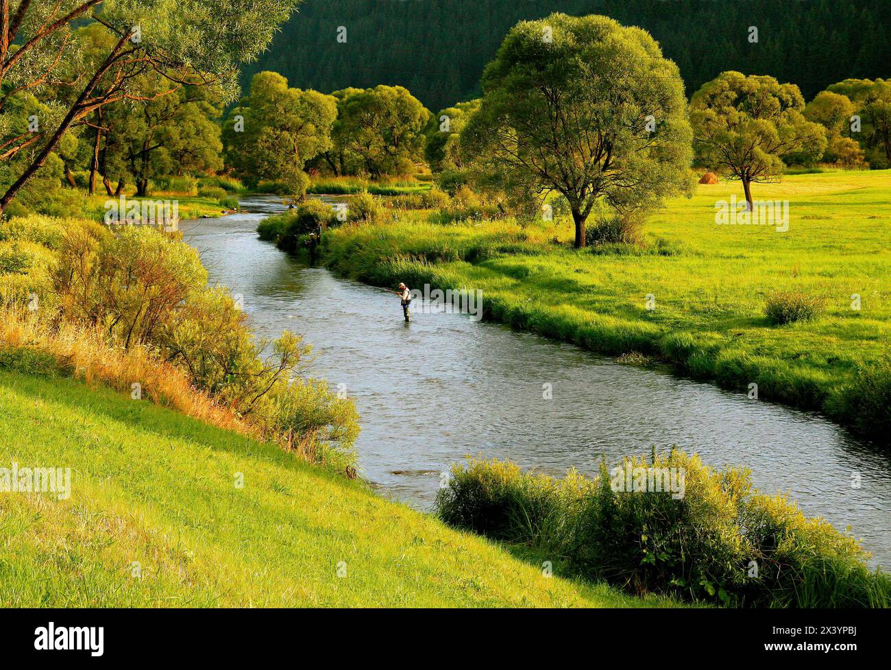Idillic green nature landscape, the man fishing at the river Stock ...
