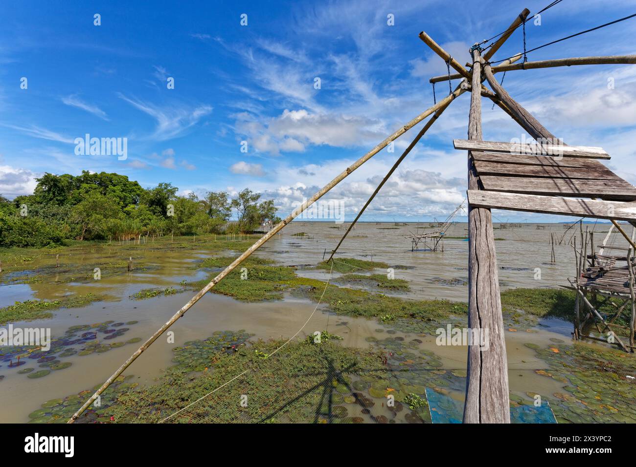 Thale Noi Wetland Lake, Phatthalung, Thailand Stock Photo - Alamy