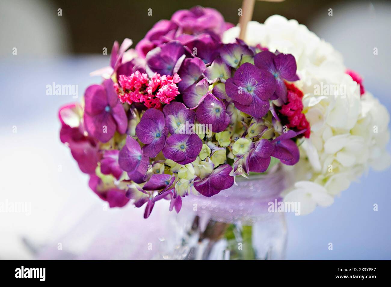 Lush bouquet of purple hydrangeas and white blooms Stock Photo - Alamy