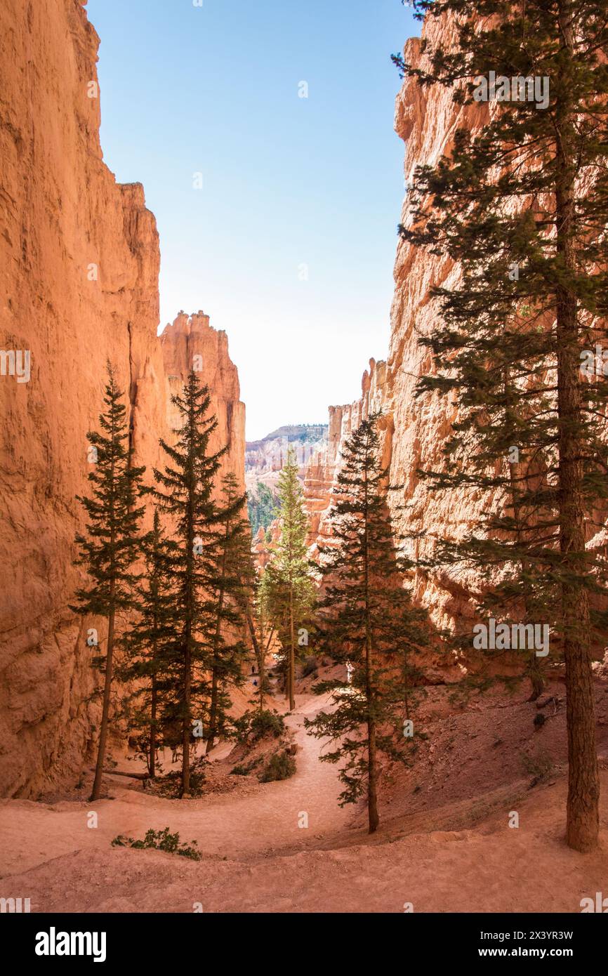 Parc de canyon de roche rouge hi-res stock photography and images - Alamy
