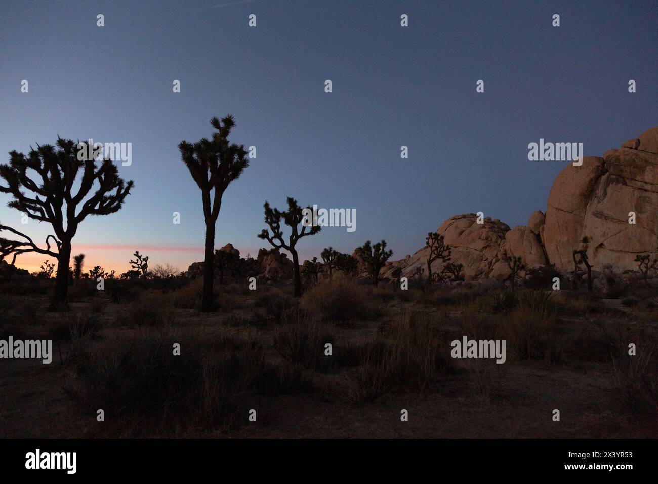 Twilight desert hi-res stock photography and images - Alamy