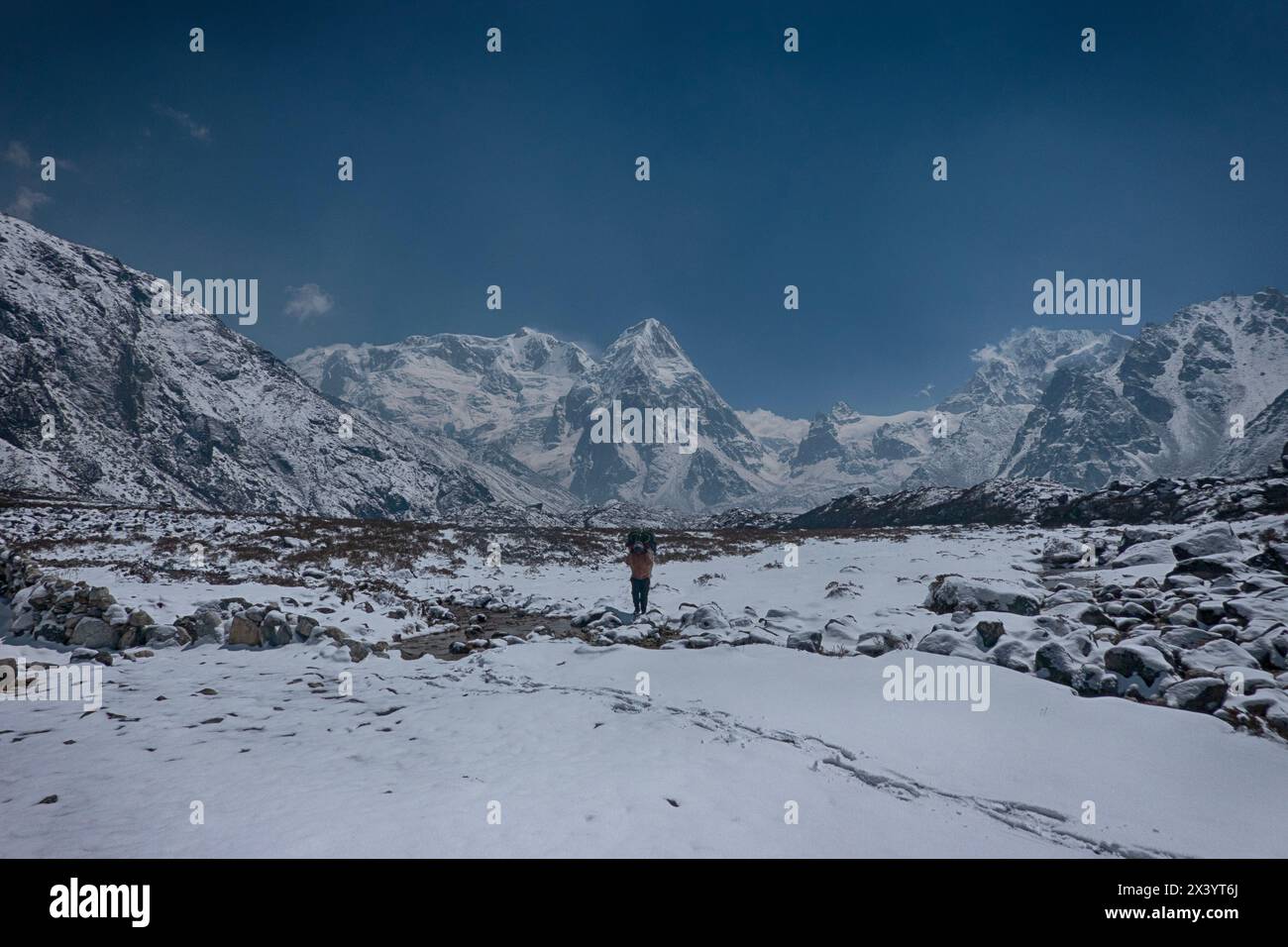Porter carrying a load from Kangchenjunga (Kanchenjunga) Base Camp ...