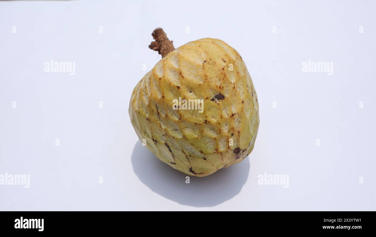 Ramphal also known as Wild sweetsop, annona reticulata, ram falwild ...