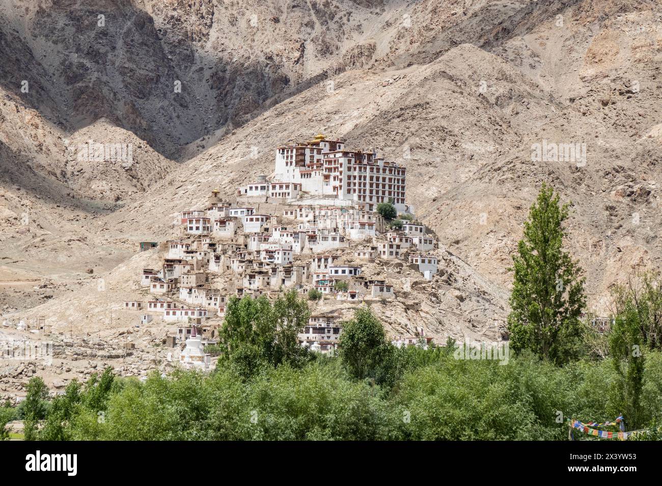 View of Chemrey Monastery, Ladakh, India Stock Photo - Alamy