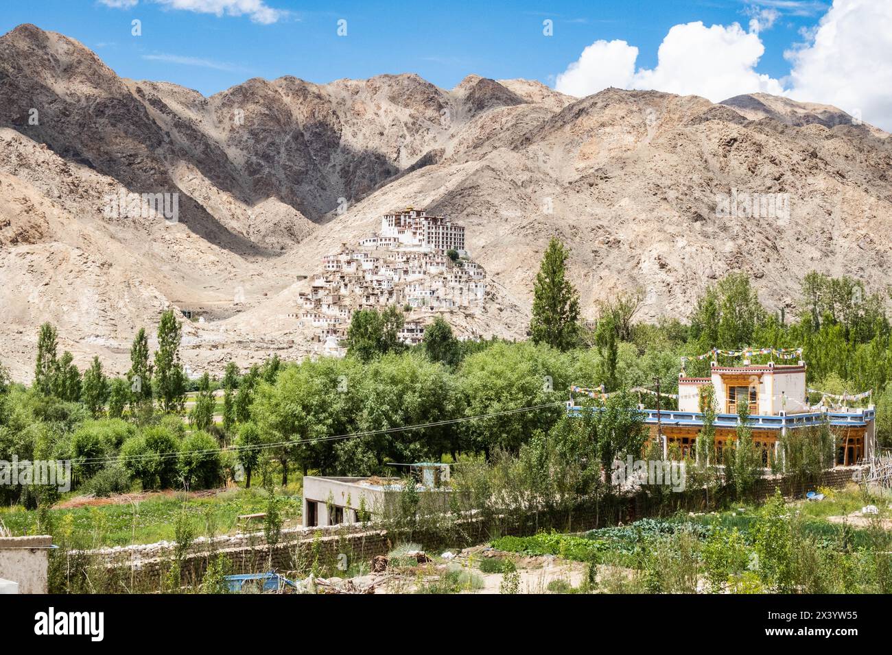 View of Chemrey Monastery, Ladakh, India Stock Photo - Alamy