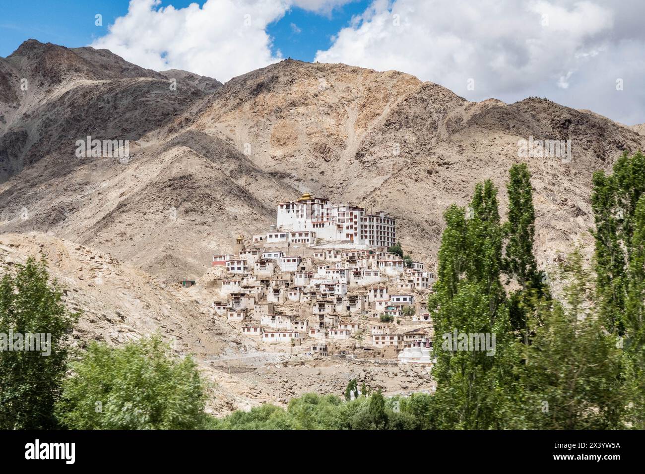 View of Chemrey Monastery, Ladakh, India Stock Photo - Alamy