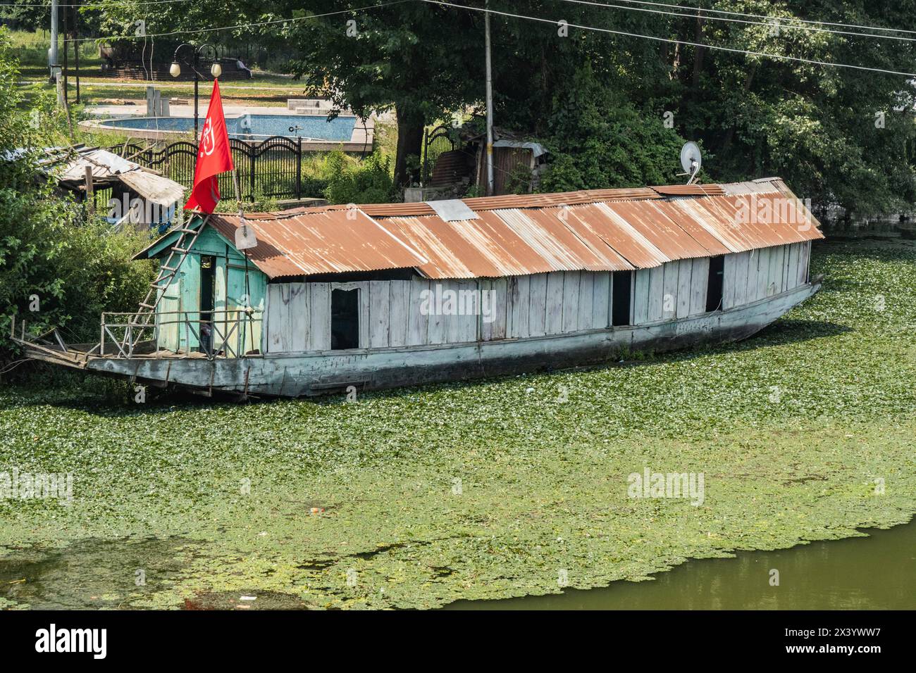 Houseboat life on Dal Lake, Srinagar, Kashmir, India Stock Photo - Alamy