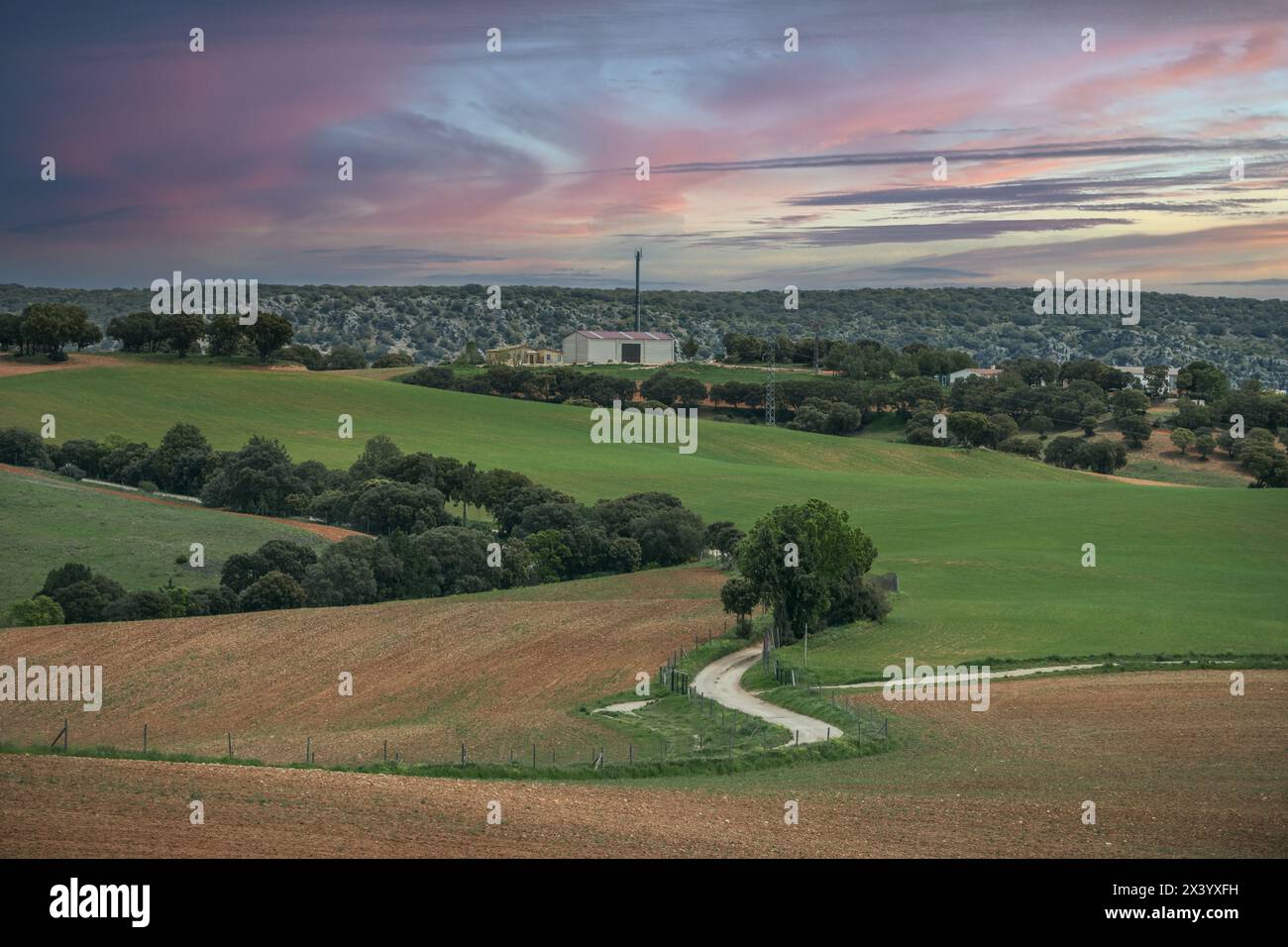 Landscape low hill fields hi-res stock photography and images - Alamy