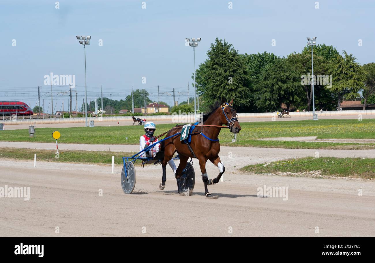 Padua, Italy - April, 28, 2024: training a trotter before the race ...