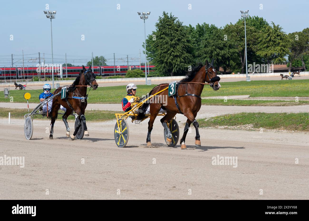 Two trotting horses warming up before the race. Hippodrome le ...