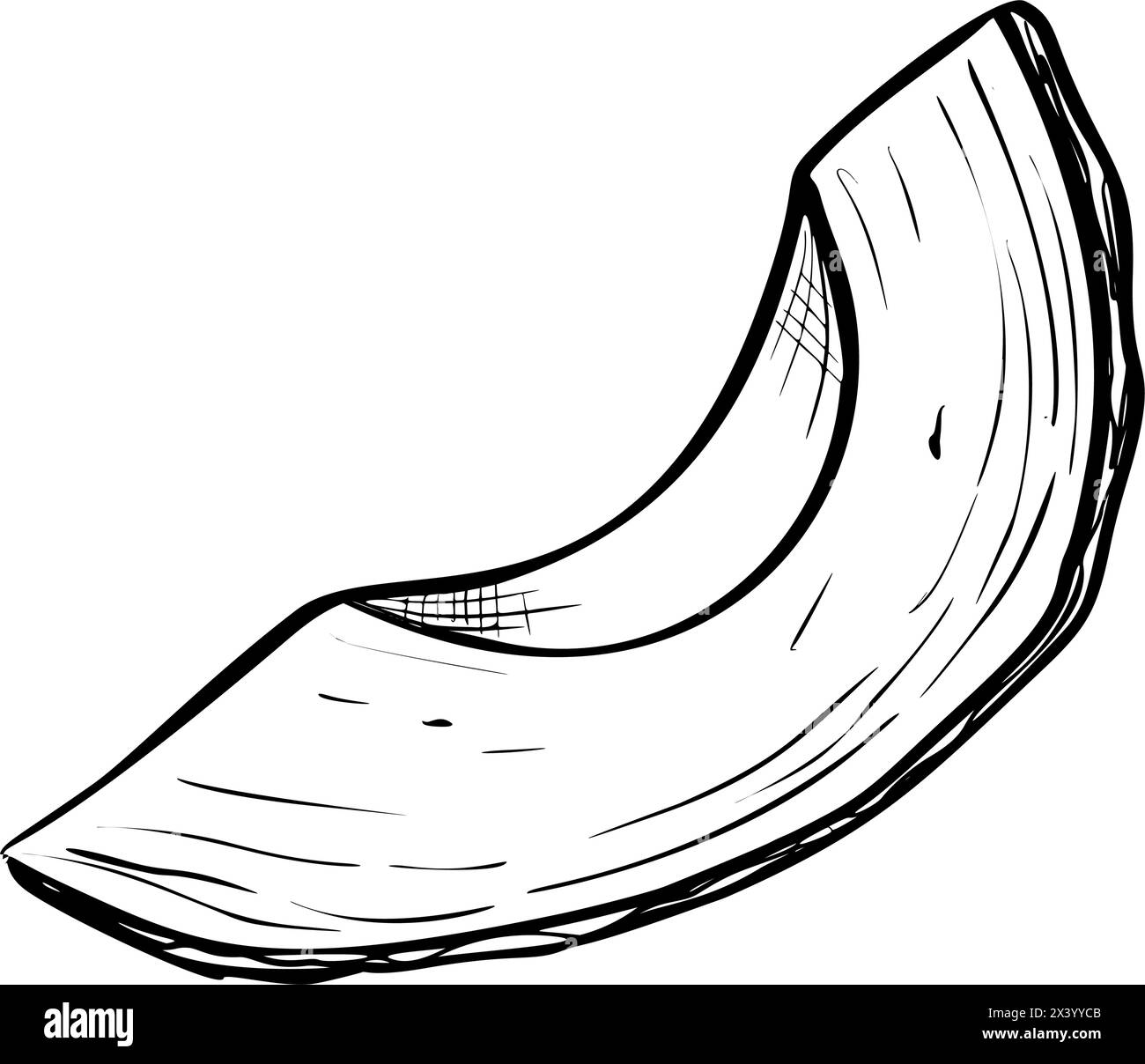 Avocado Slice vector illustration. Hand drawn sketch on isolated ...