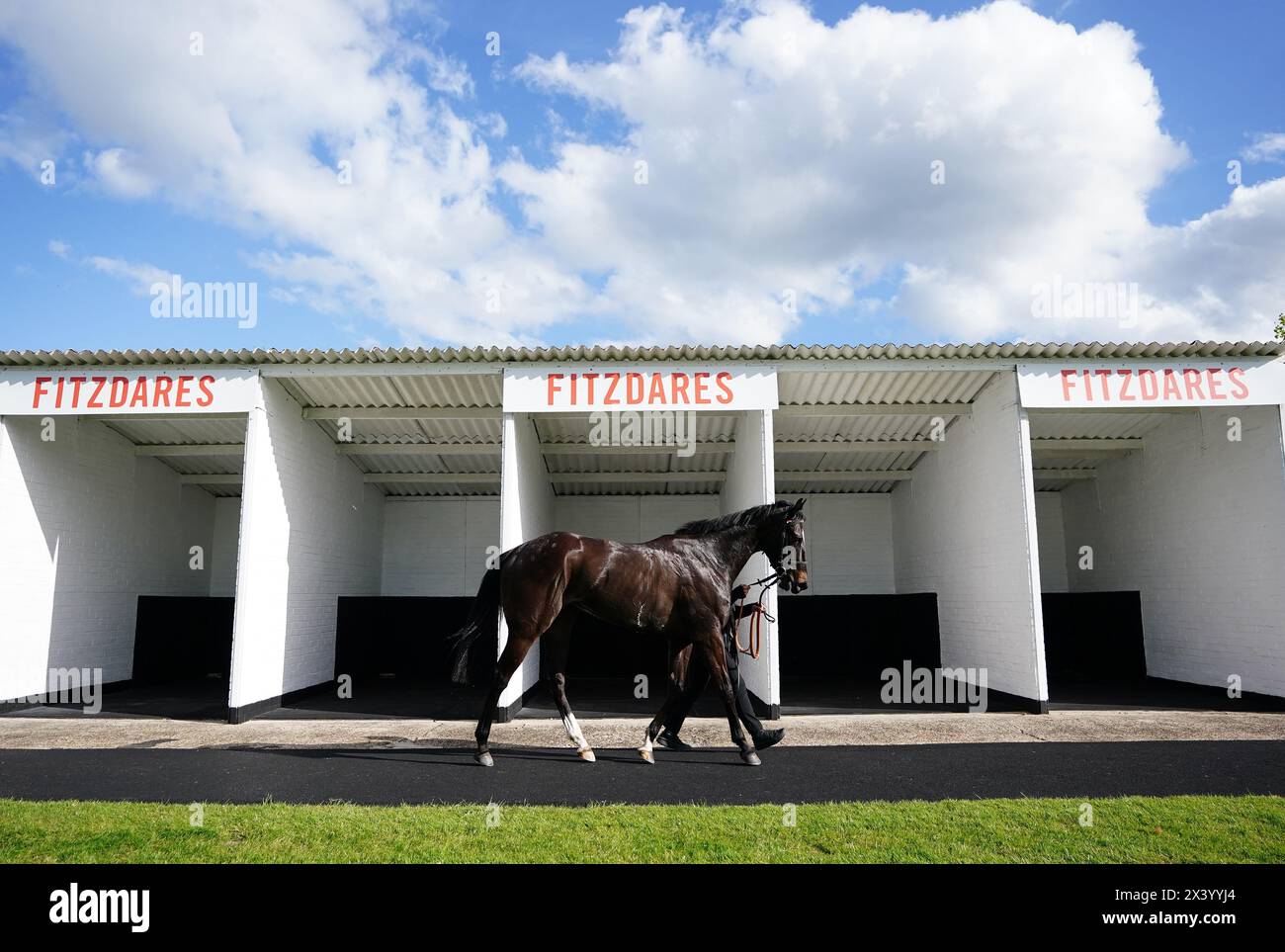 A general view of the parade ring after the British Stallion Studs EBF ...