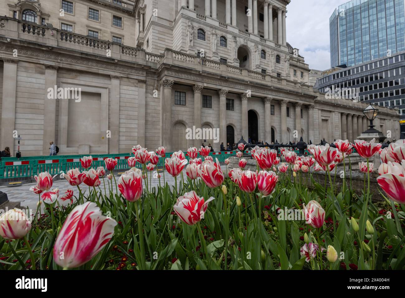 Spring Tulip flowers outside the Bank of England, Cornhill, City of ...