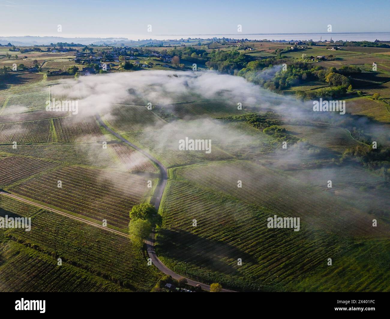 Aerial view of Bordeaux vineyard at sunrise spring under fog, Loupiac, Gironde, France Stock ...