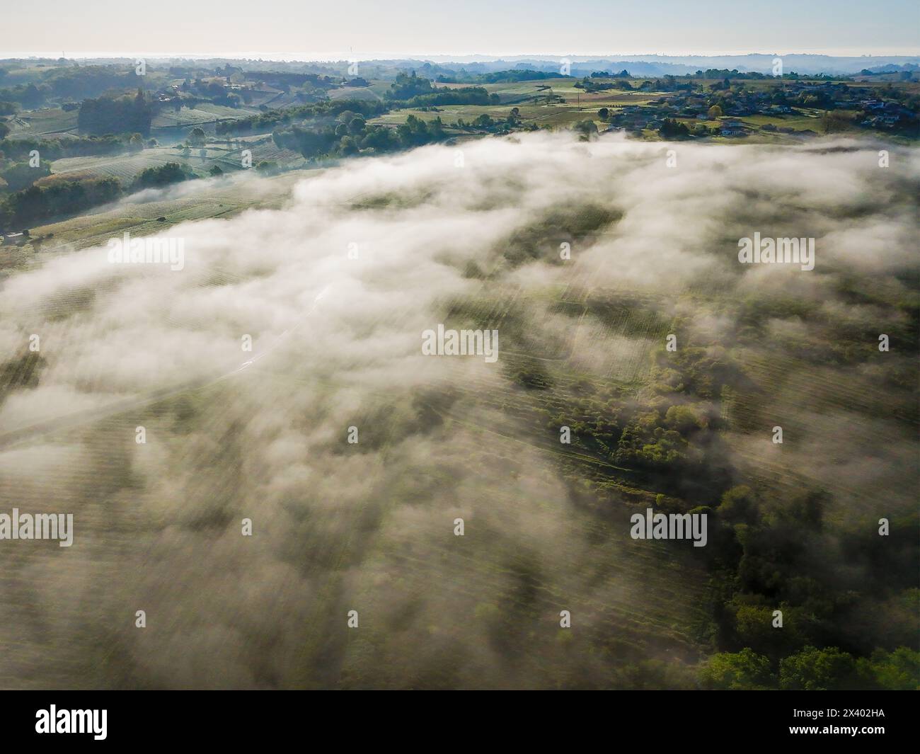 Aerial view of Bordeaux vineyard at sunrise spring under fog, Loupiac, Gironde, France Stock ...