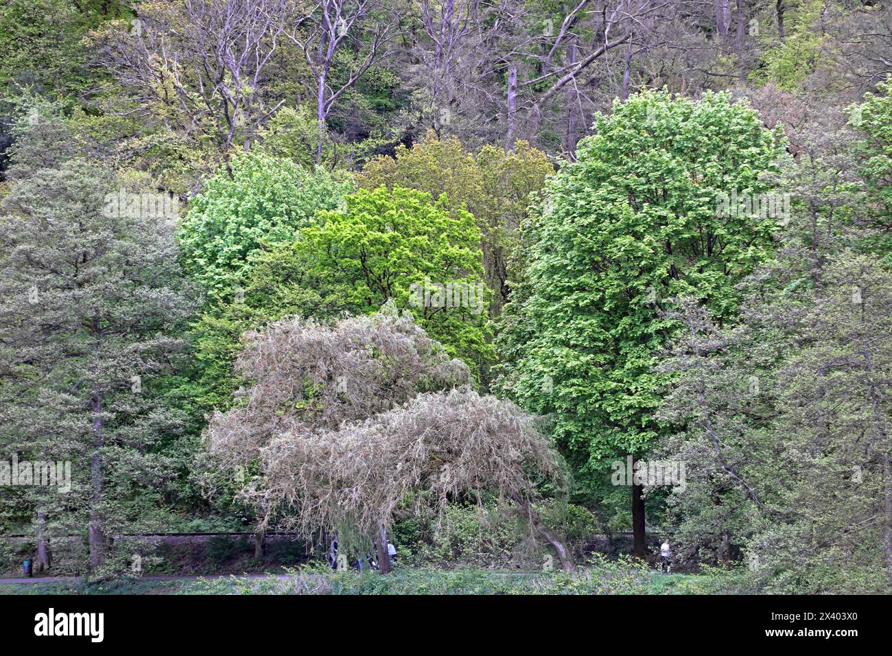 Frischluftschneise hi-res stock photography and images - Alamy