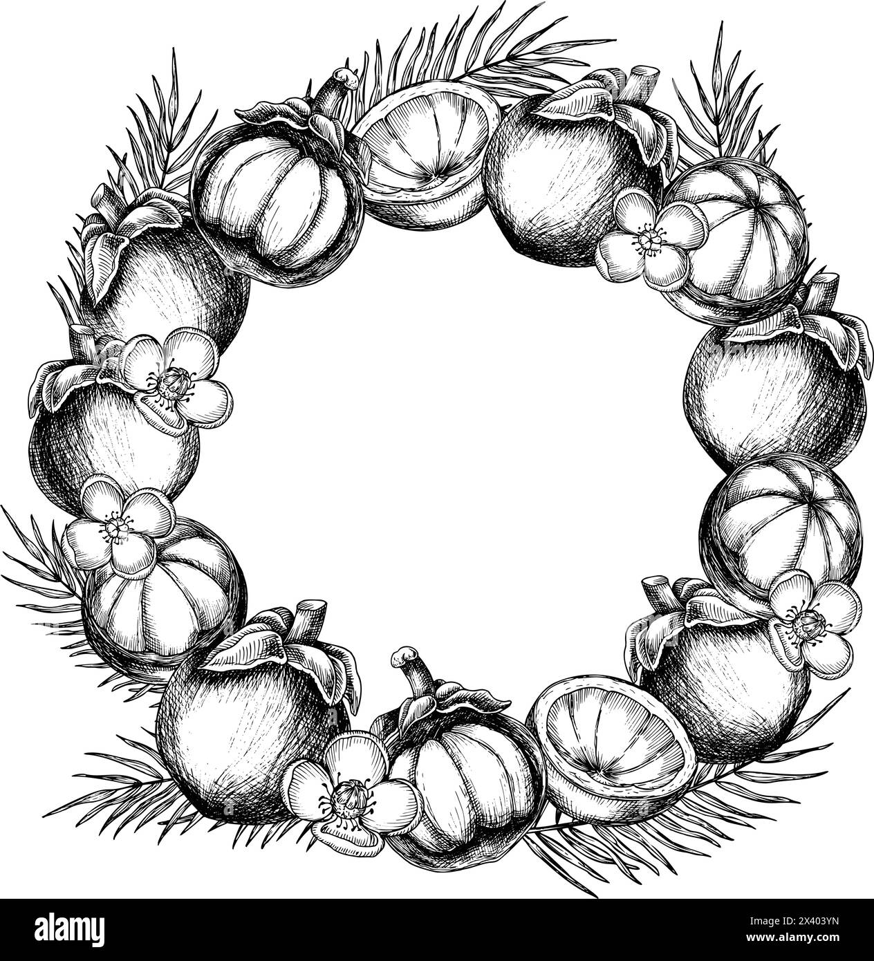 Mangosteen vector round Frame. Illustration of Wreath with exotic ...