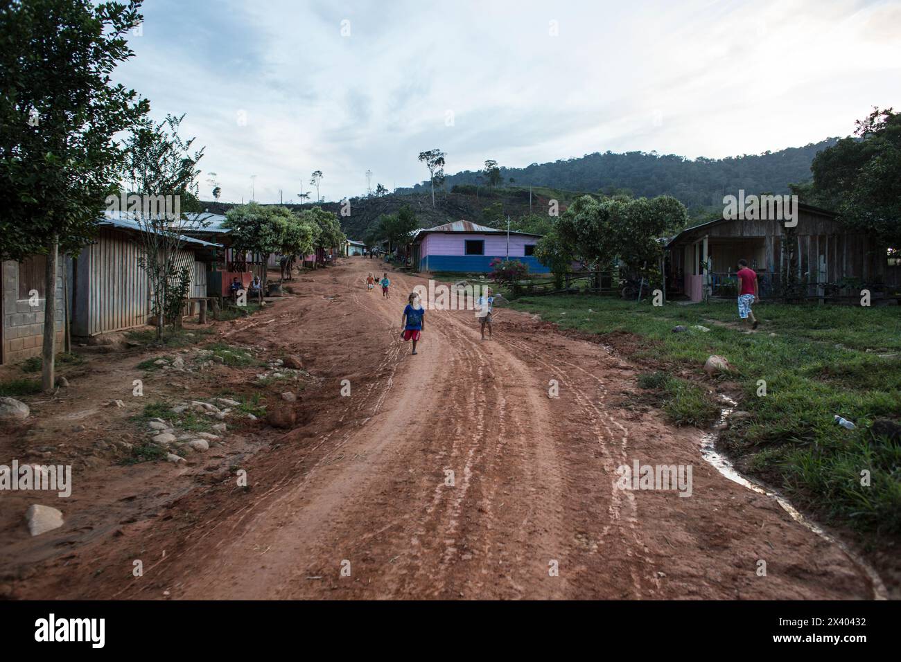 Cocaine, plantation and preparation of cocaine, Colombia, drug Stock ...
