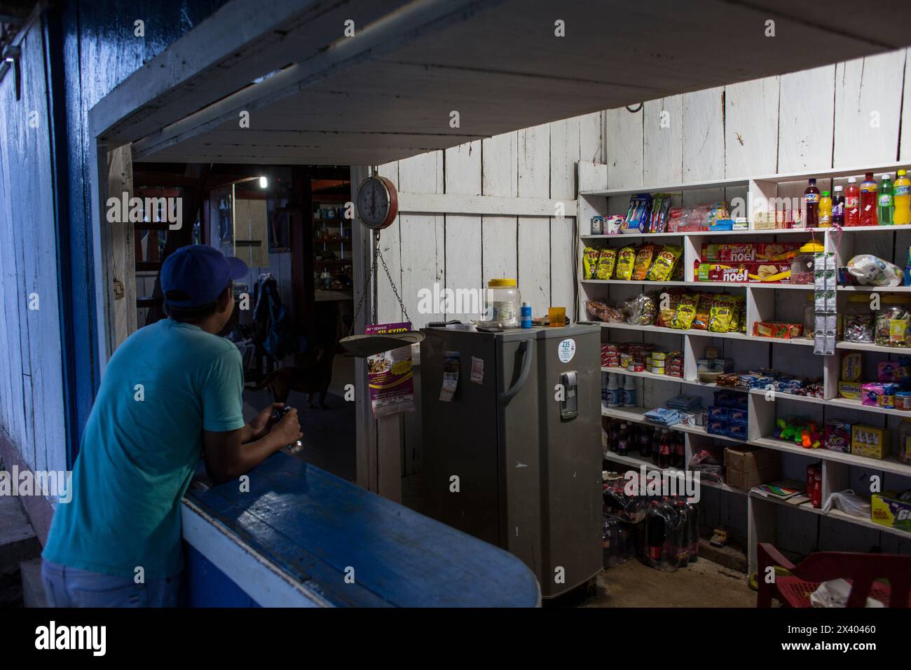 Cocaine, plantation and preparation of cocaine, Colombia, drug Stock ...