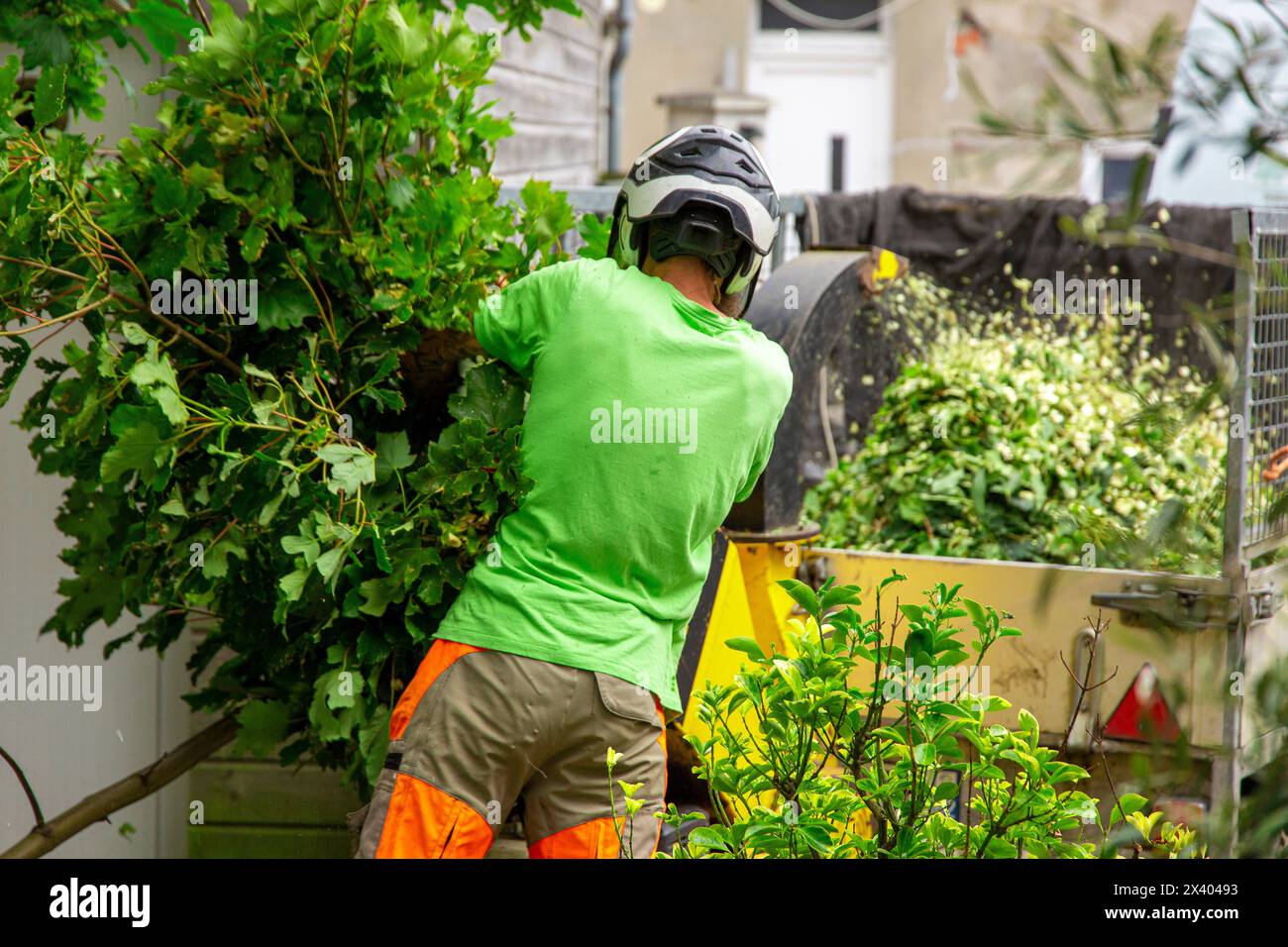 Professional plant shredder hi-res stock photography and images - Alamy