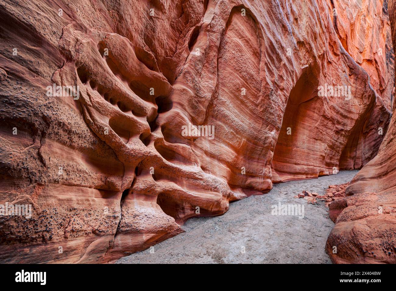 Dry Fork Narrows. Big Hollow Wash, Utah, USA Stock Photo - Alamy