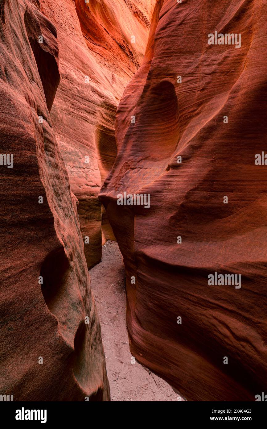Spooky Gulch. Big Hollow Wash, Utah, USA Stock Photo - Alamy
