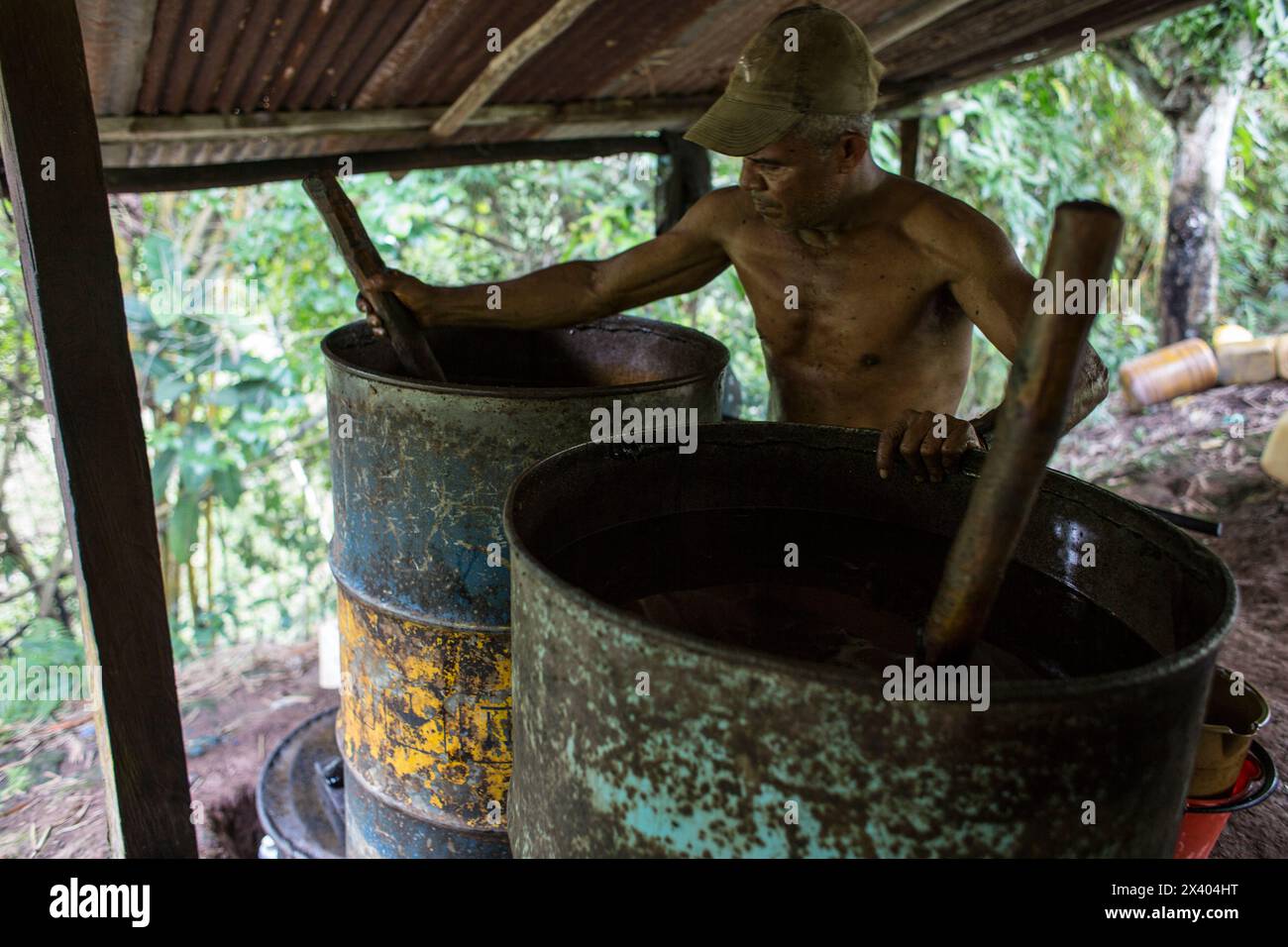 Cocaine, plantation and preparation of cocaine, Colombia, drug Stock ...