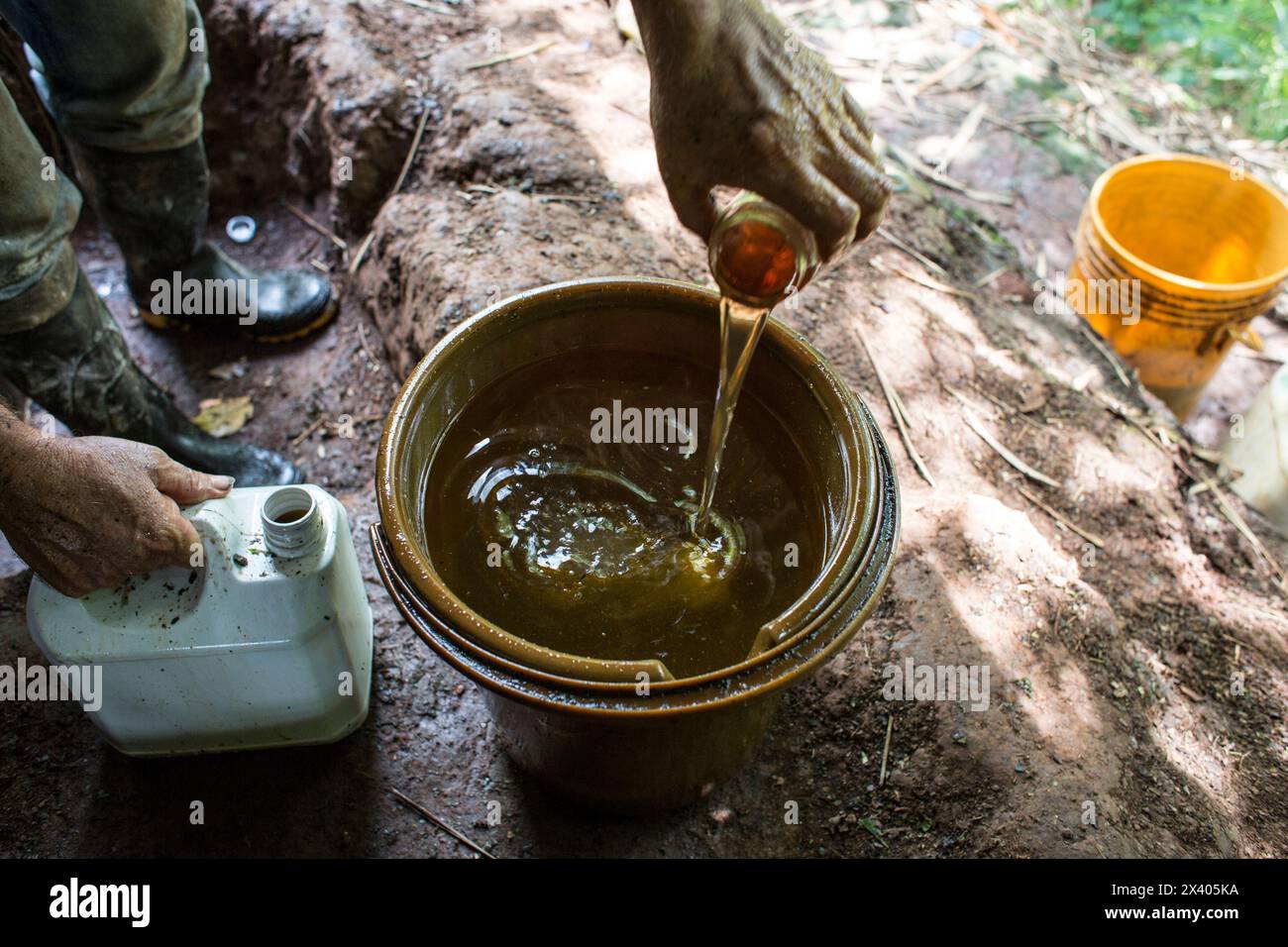Cocaine, plantation and preparation of cocaine, Colombia, drug Stock ...