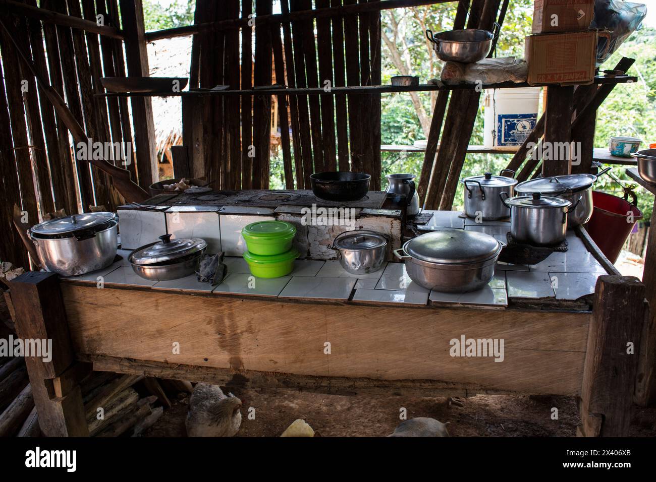 Cocaine, plantation and preparation of cocaine, Colombia, drug Stock ...