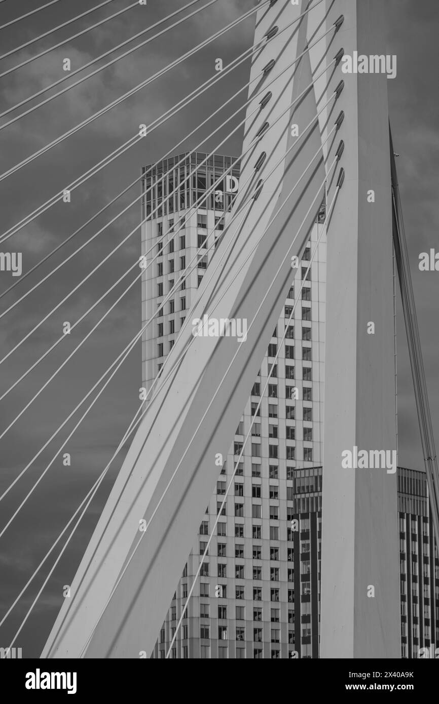 the city of Rotterdam Stock Photo - Alamy