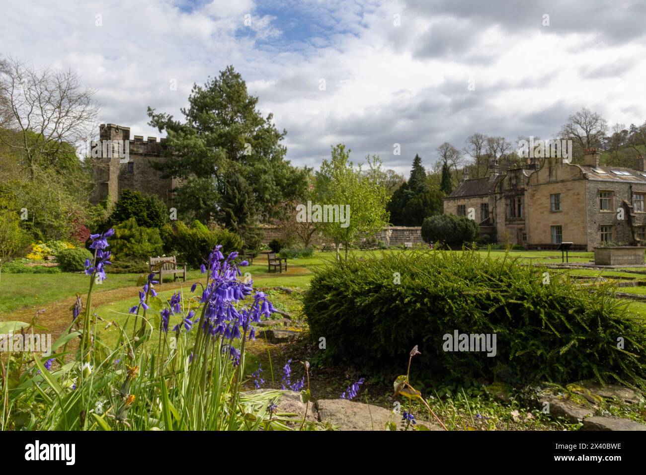 Summer Flowers in Whalley Abbey, Lancashire, England Stock Photo - Alamy
