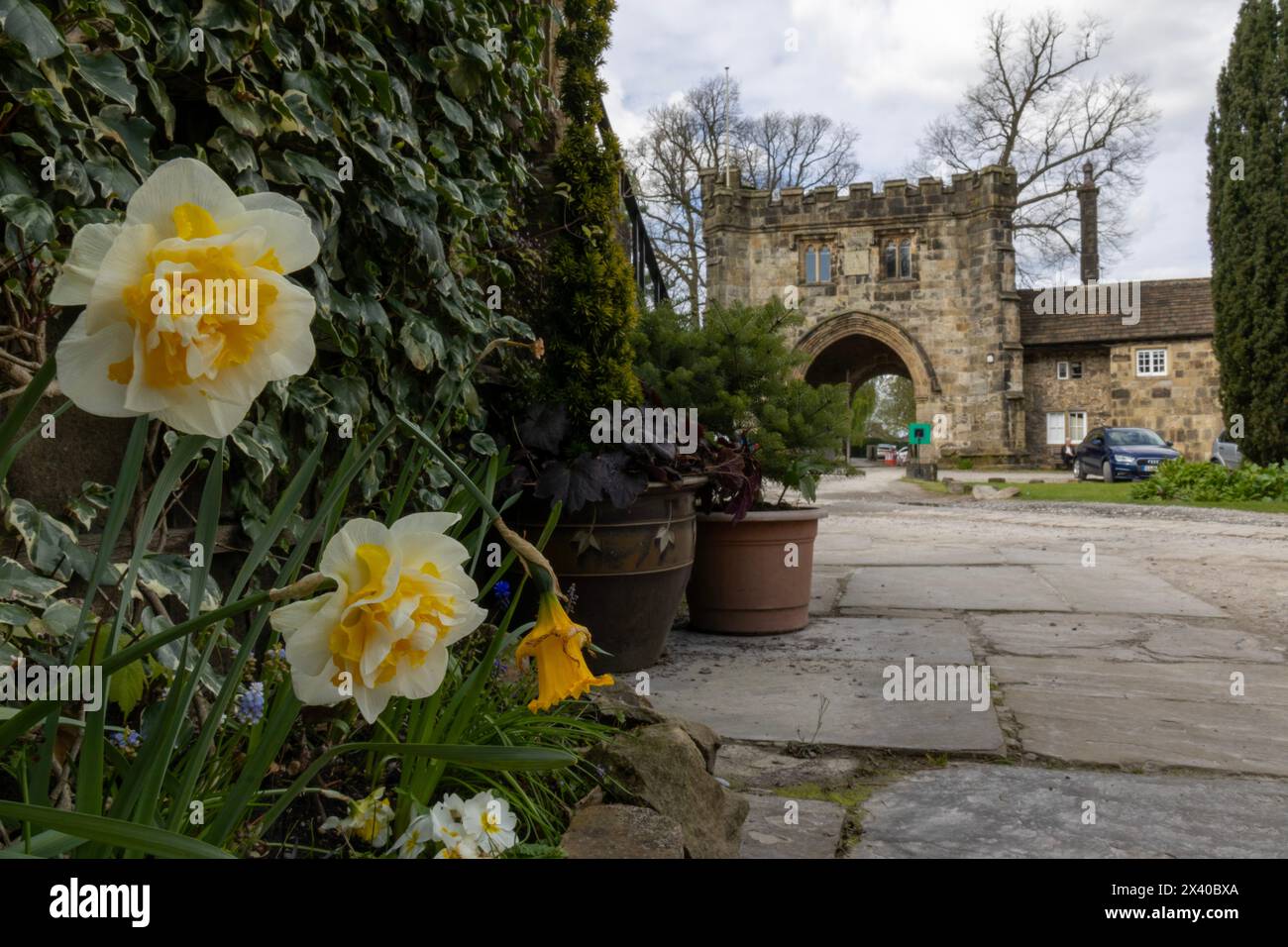 Summer Flowers in Whalley Abbey, Lancashire, England Stock Photo - Alamy