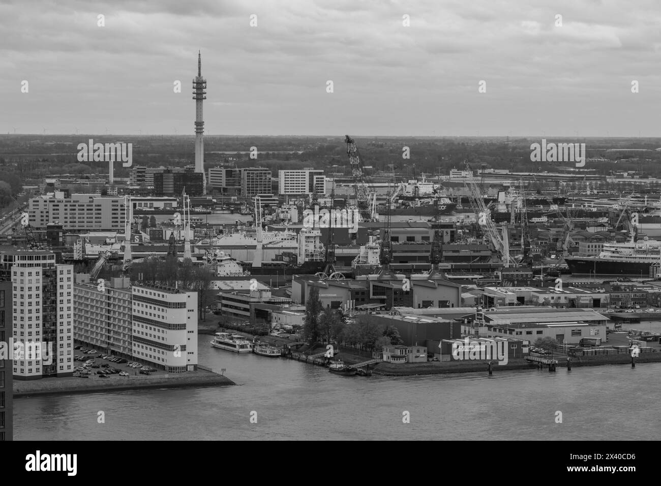 the city of Rotterdam Stock Photo - Alamy