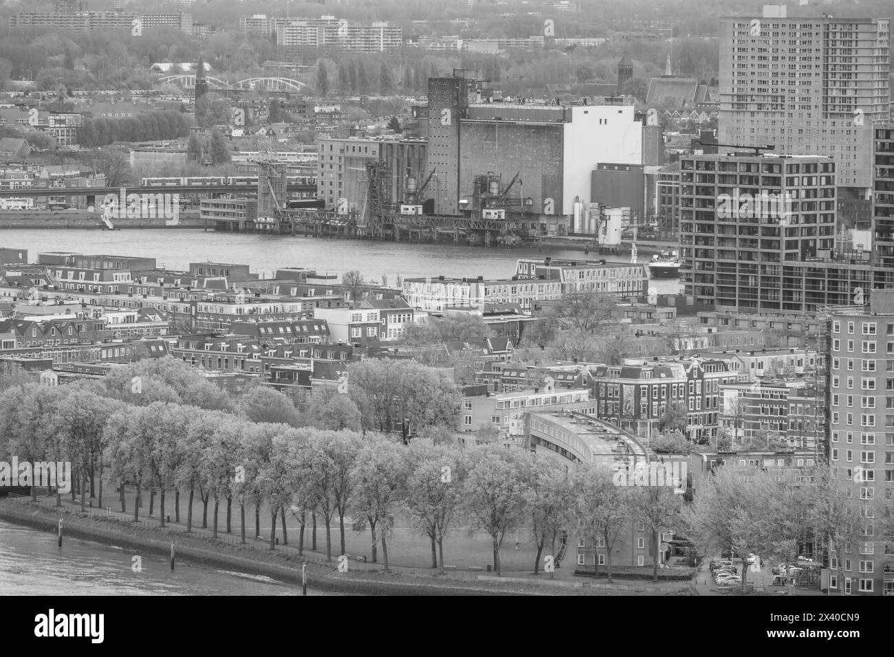 the city of Rotterdam Stock Photo - Alamy
